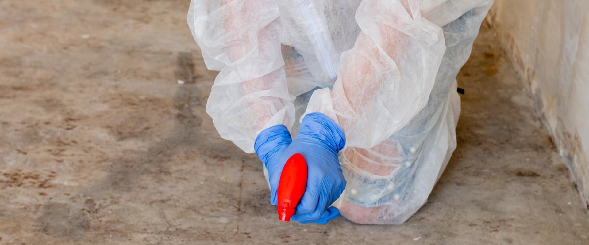 Why You Need A Certified Mold Specialist In Philadelphia Before Pier ...