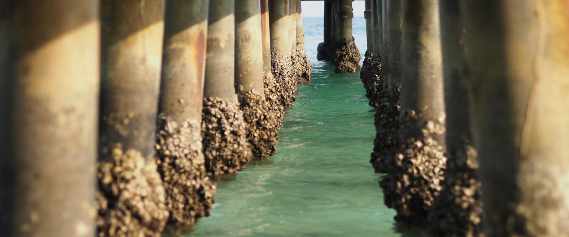 Why Water Damage Remediation Is Essential For Pier And Beam Foundation ...