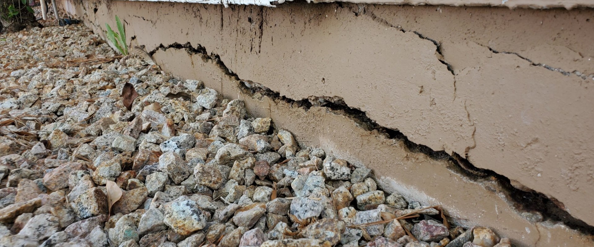 Why You Should Hire A Water Damage Restoration Company For Your Seattle ...